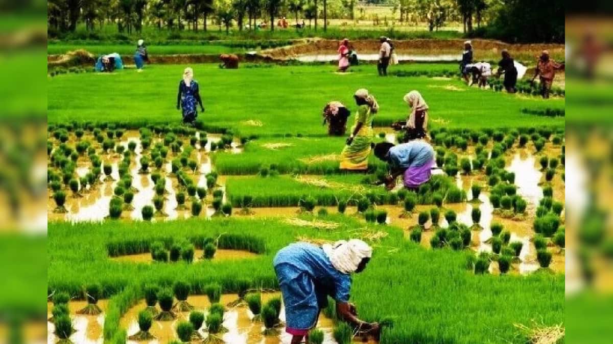 Chingam 1| പുത്തൻ പ്രതീക്ഷകളുമായി വീണ്ടുമൊരു ചിങ്ങപ്പുലരി; പിറന്നത് ...