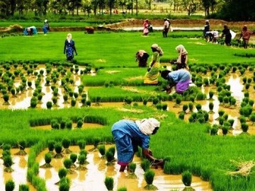 Chingam 1| പുത്തൻ പ്രതീക്ഷകളുമായി വീണ്ടുമൊരു ചിങ്ങപ്പുലരി; പിറന്നത് ...