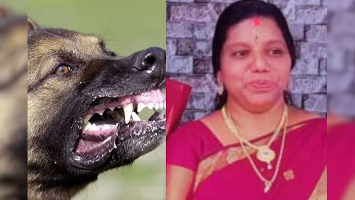 വളർത്തുനായയുടെ നഖം കൊണ്ട് മുറിവേറ്റത് കാര്യമാക്കിയില്ല ...