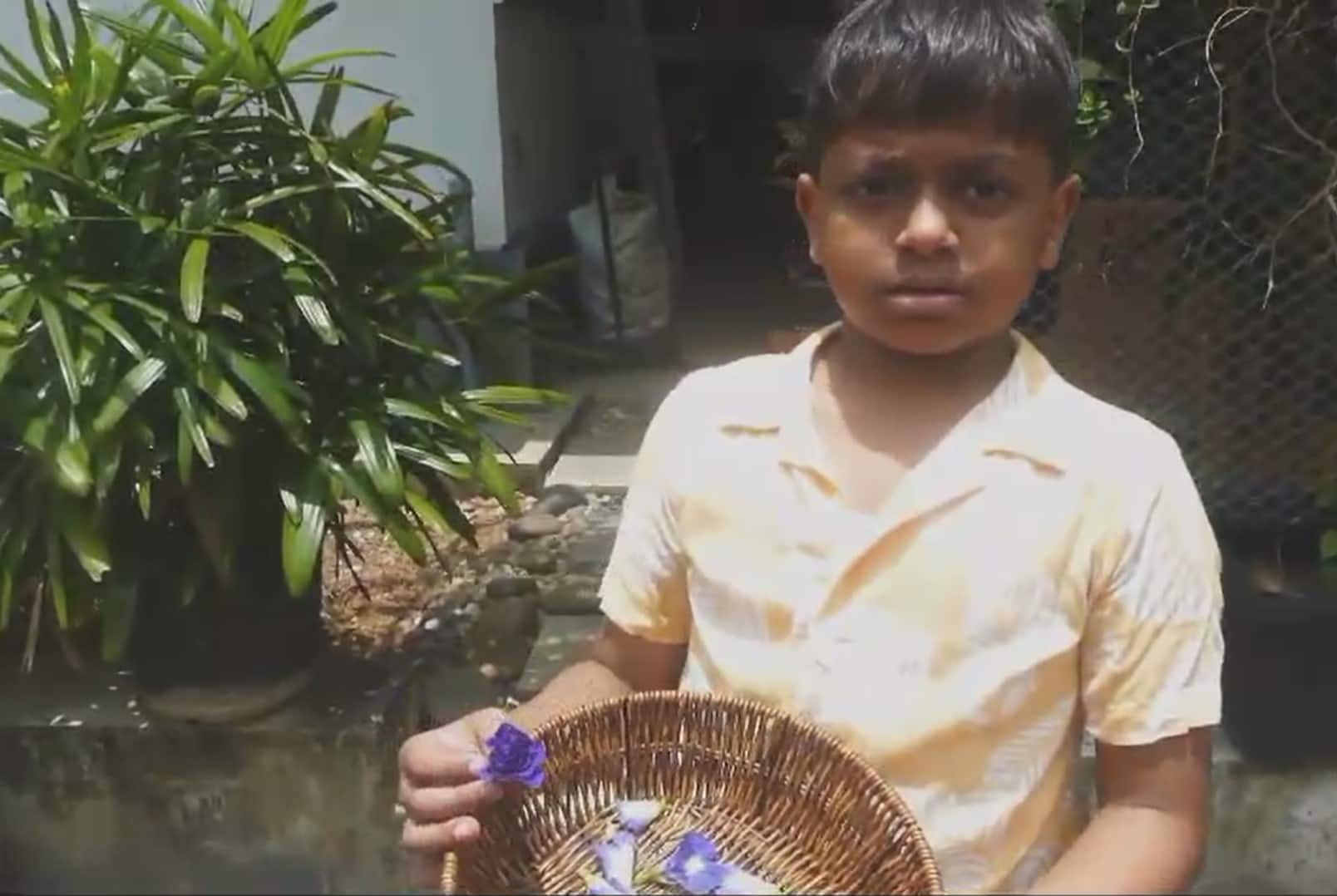 ഒൻപതു വയസ്സുള്ള കാർഷിക സംരംഭകൻ: സ്വന്തമായി കൃഷി ചെയ്ത ശംഖുപൂക്കളെ ടീ ...
