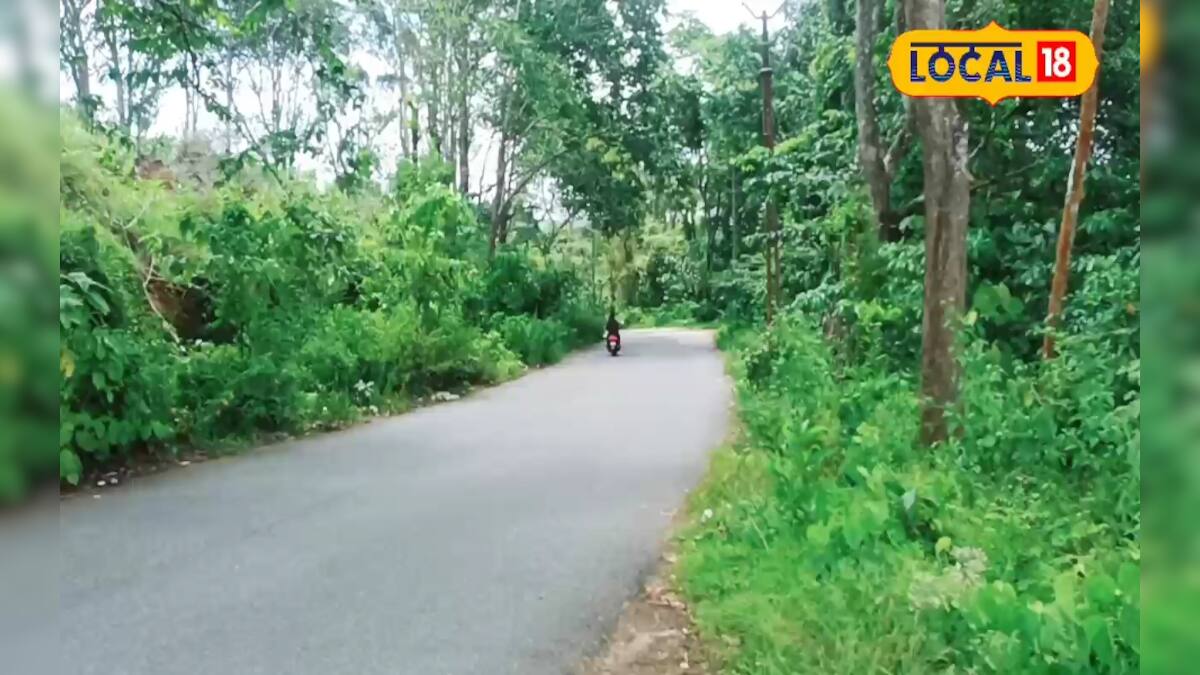 Sumathi Valav, a haunted road near Palode reserve forest, people feared ...