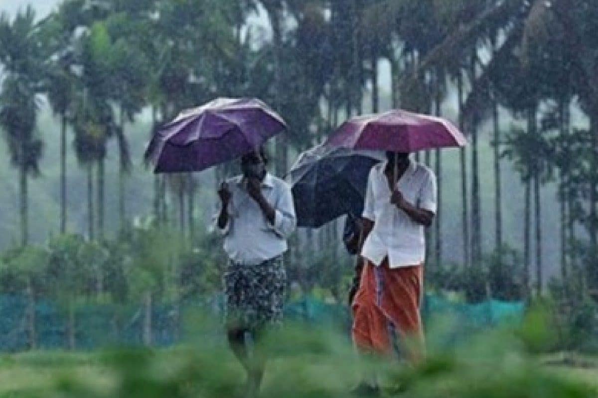 Kerala Weather Update: കുംഭച്ചൂടിന് ആശ്വാസം! തെക്കൻ കേരളത്തിൽ കനത്ത മഴ ...