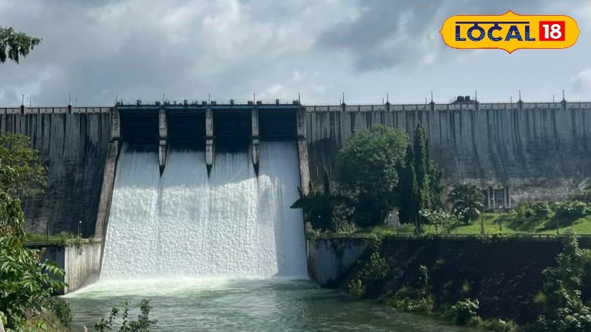 തിരുവനന്തപുത്തെ നെയ്യാർ ഡാം|Neyyar dam in Trivandrum | തിരുവനന്തപുരം ...