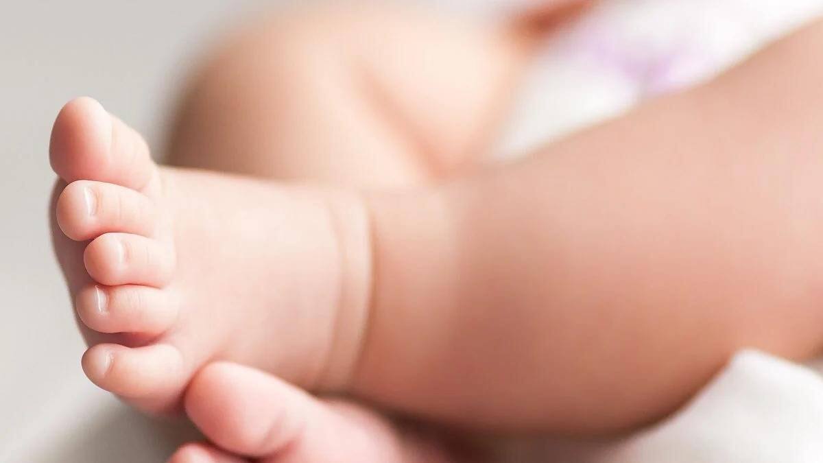 ഇടുക്കിയിൽ ഒൻപതാം ക്ളാസുകാരി പ്രസവിച്ചു; എട്ടാം ക്ളാസുകാരനായ ...