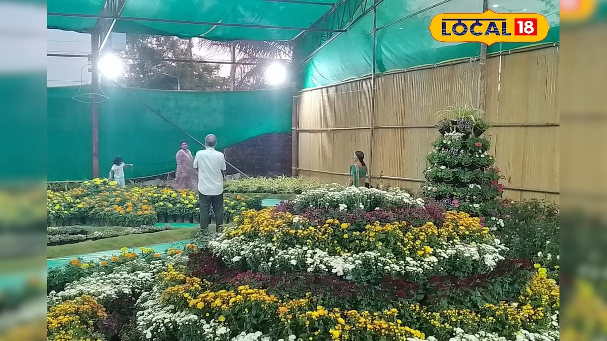 Flower show by agri horticulture attracts the people of Calicut | Kozhikode - News18 Malayalam