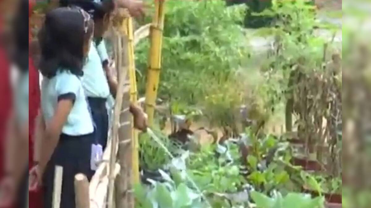 'വിഷമിക്കേണ്ട, നിങ്ങളോടൊപ്പം ഞാനുമുണ്ട്'; സ്കൂളിലെ പച്ചക്കറി ...