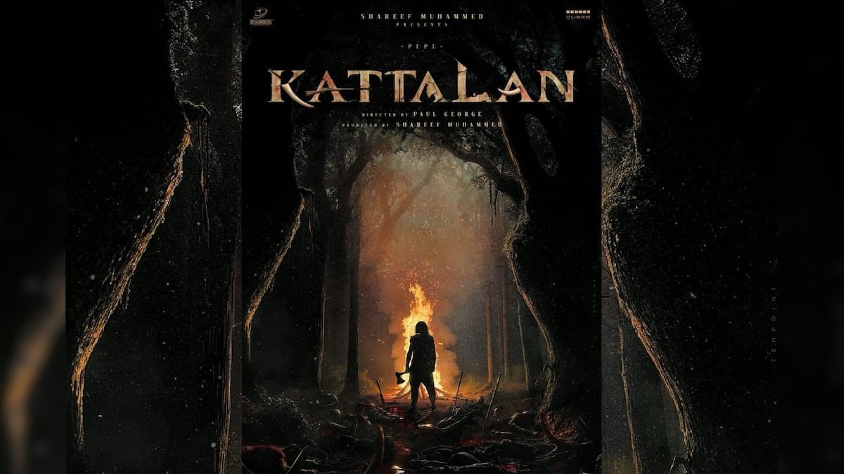 വയലൻസിന് അവസാനമില്ല; 'മാർക്കോ' നിർമ്മാതാവിന്റെ രണ്ടാമത്തെ ചിത്രത്തിന്റ ...