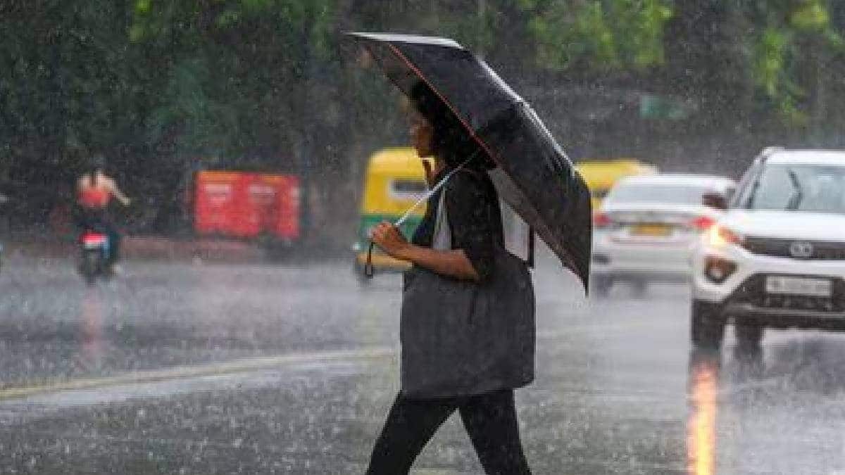 റെഡ് അലർട്ട്; പാലക്കാട് ജില്ലയിലെ വിദ്യാഭ്യാസ സ്ഥാപനങ്ങൾക്ക് ബുധനാഴ്ച ...