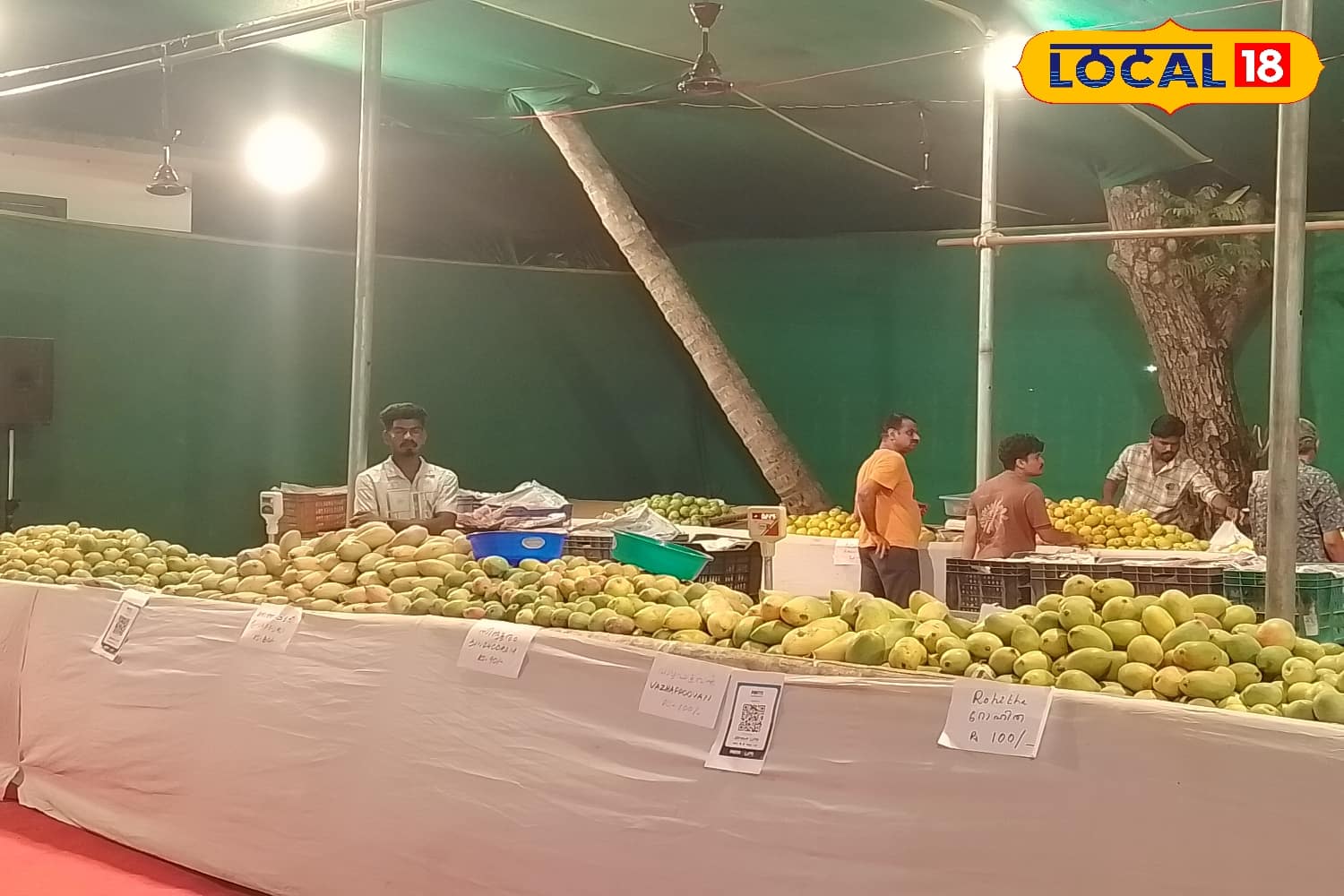 Mango fest at Kozhikode Gandhi Park concludes today | കോഴിക്കോട് ...