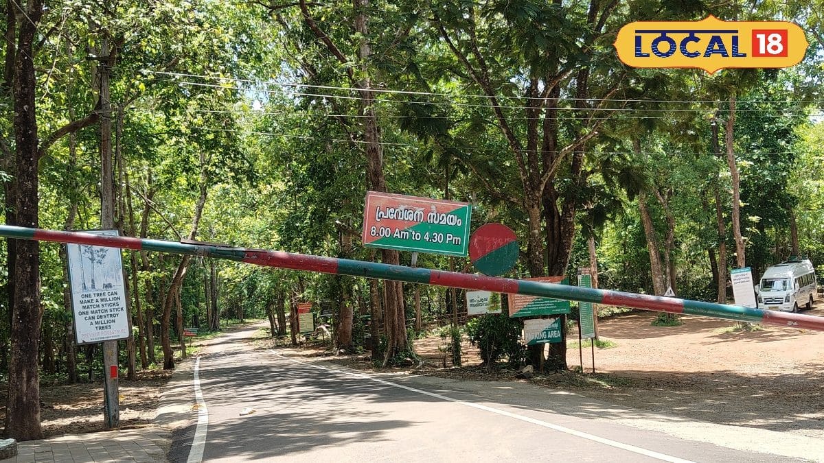 A journey through the forest to the mahogany thottam and Illithode ...