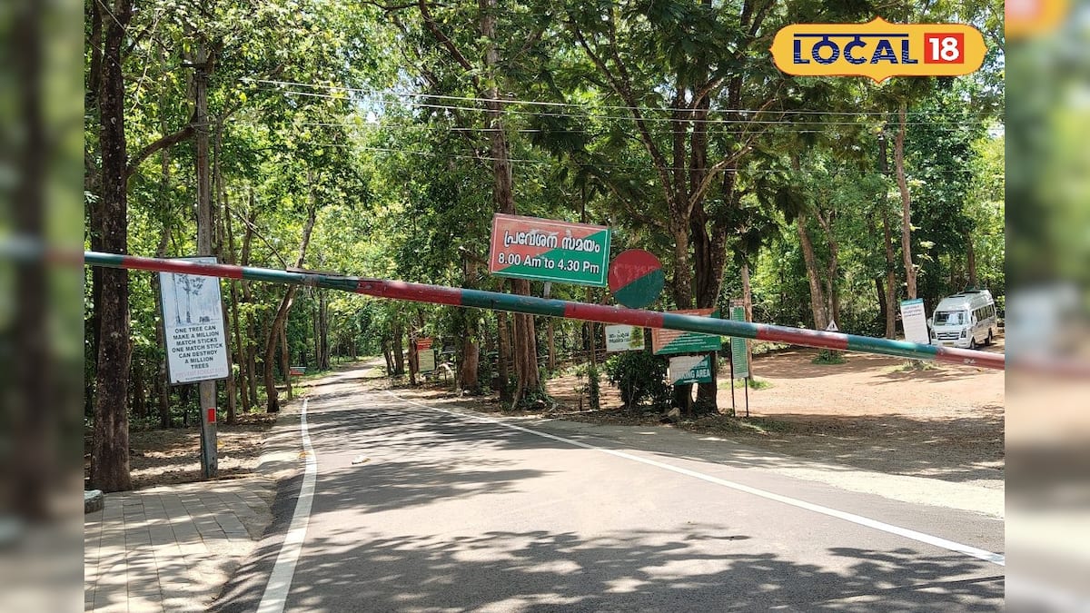 A journey through the forest to the mahogany thottam and Illithode ...