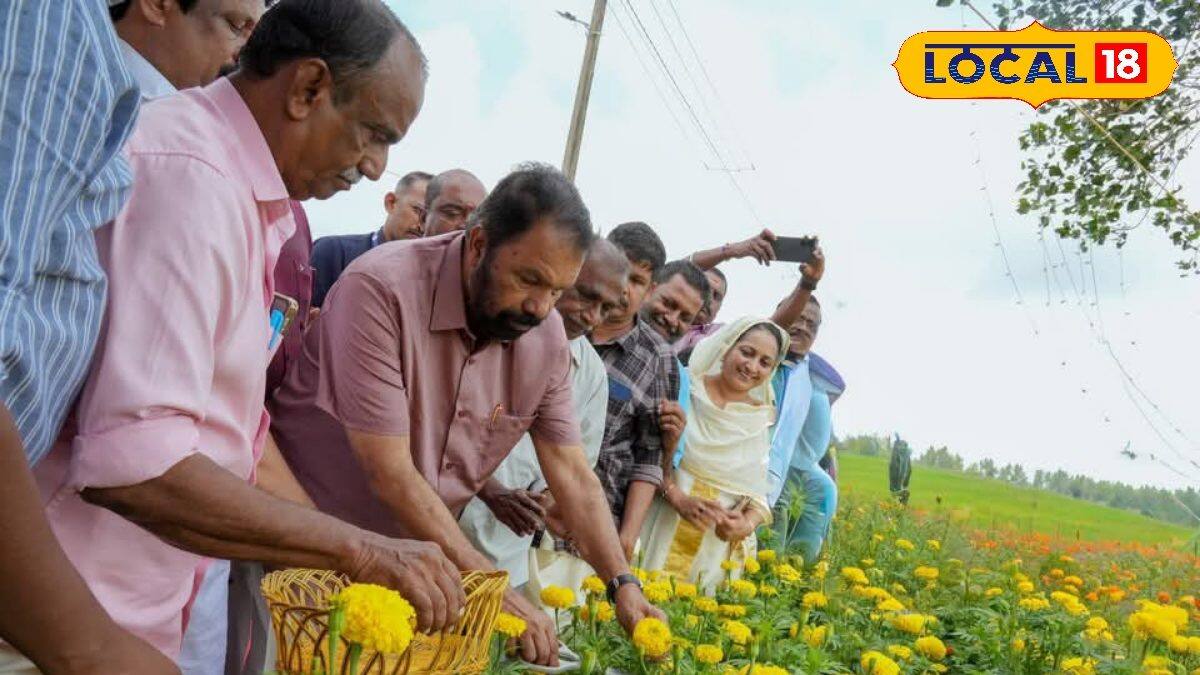 Onam Blossoms in Thiruvananthapuram’s Punchakkari|തിരുവനന്തപുരം ...