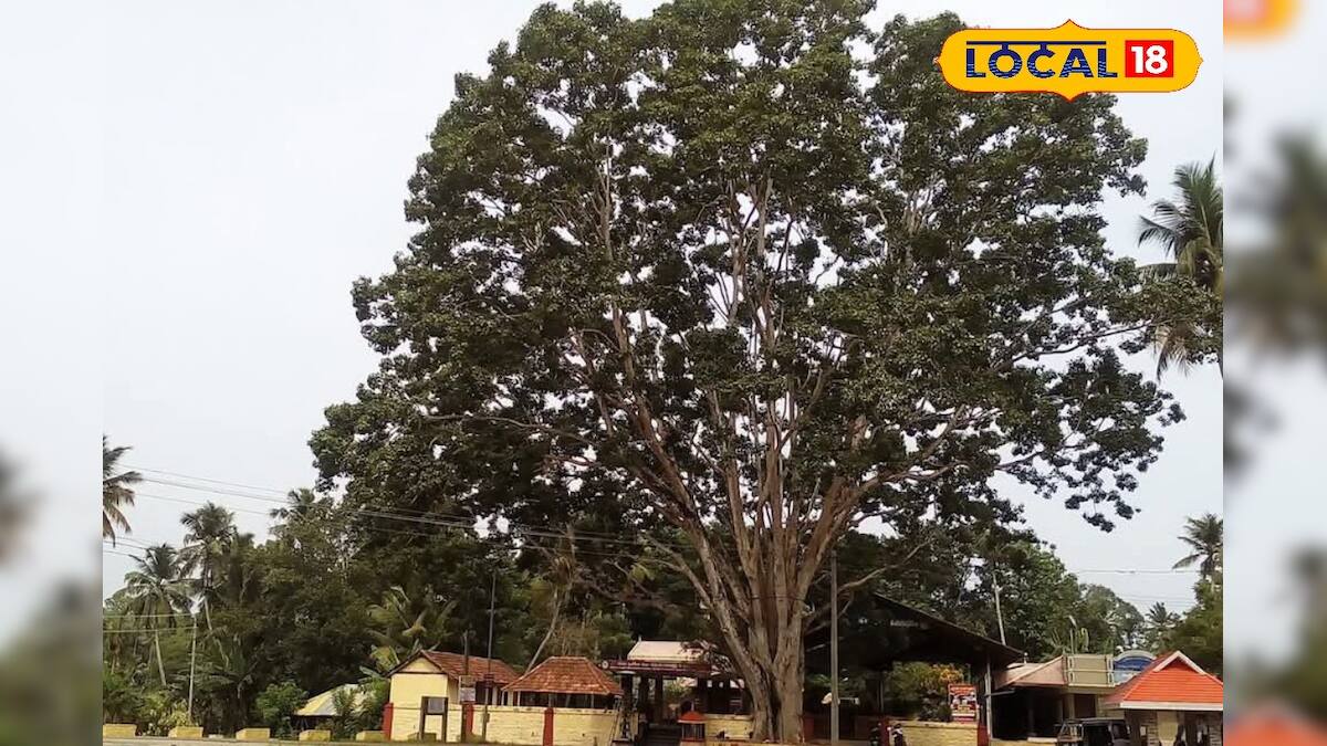 Two Temples, One Name, Pulimath devi temple in Thiruvananthapuram and ...