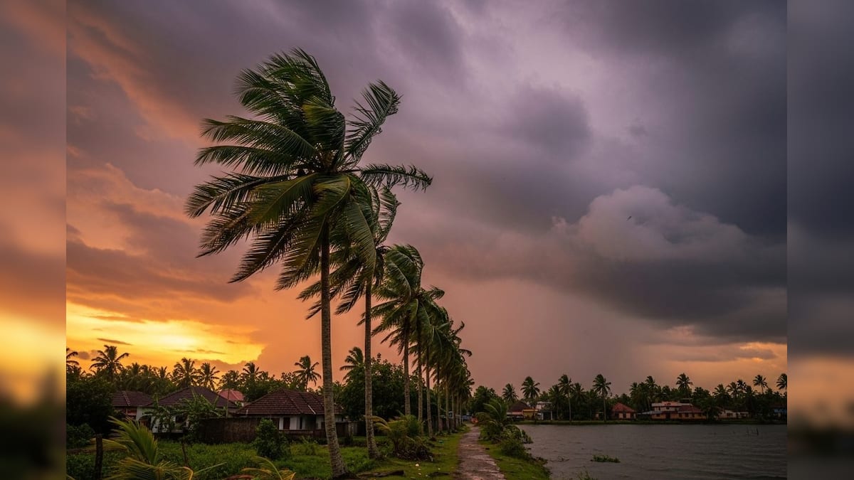 Weather update | അഞ്ച് ജില്ലകൾക്ക് യെല്ലോ അലർട്ട്; കേരളത്തി ...