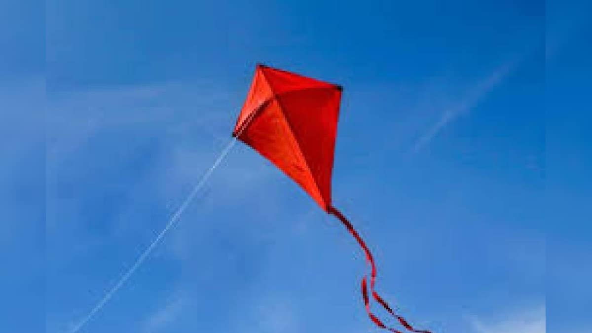 സൂറത്തിൽ സൈക്കിൾ ഓടിക്കുന്നതിനിടെ പട്ടത്തിന്റെ ചരട് കഴുത്തിൽ കുരുങ്ങി 8 ...