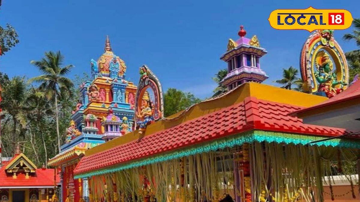 Thippattiyil Temple Festival with Pongala, Kuthiyottam and more ...