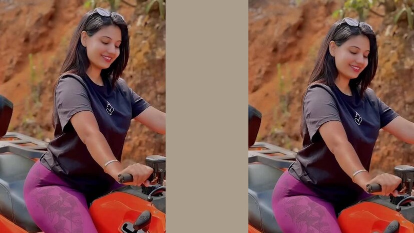 Purple Halcyon | യുകെയിൽ വർഷങ്ങളോളം ജോലിയെടുത്ത കൊല്ലംകാരി; 'പർപ്പി ...