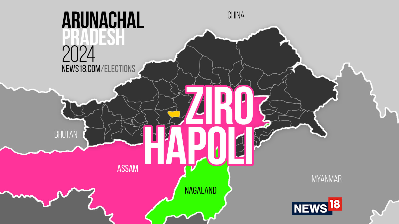 Ziro Hapoli Election Result 2024 Live Winning And Losing Candidates And Parties 2019 Vs 2024