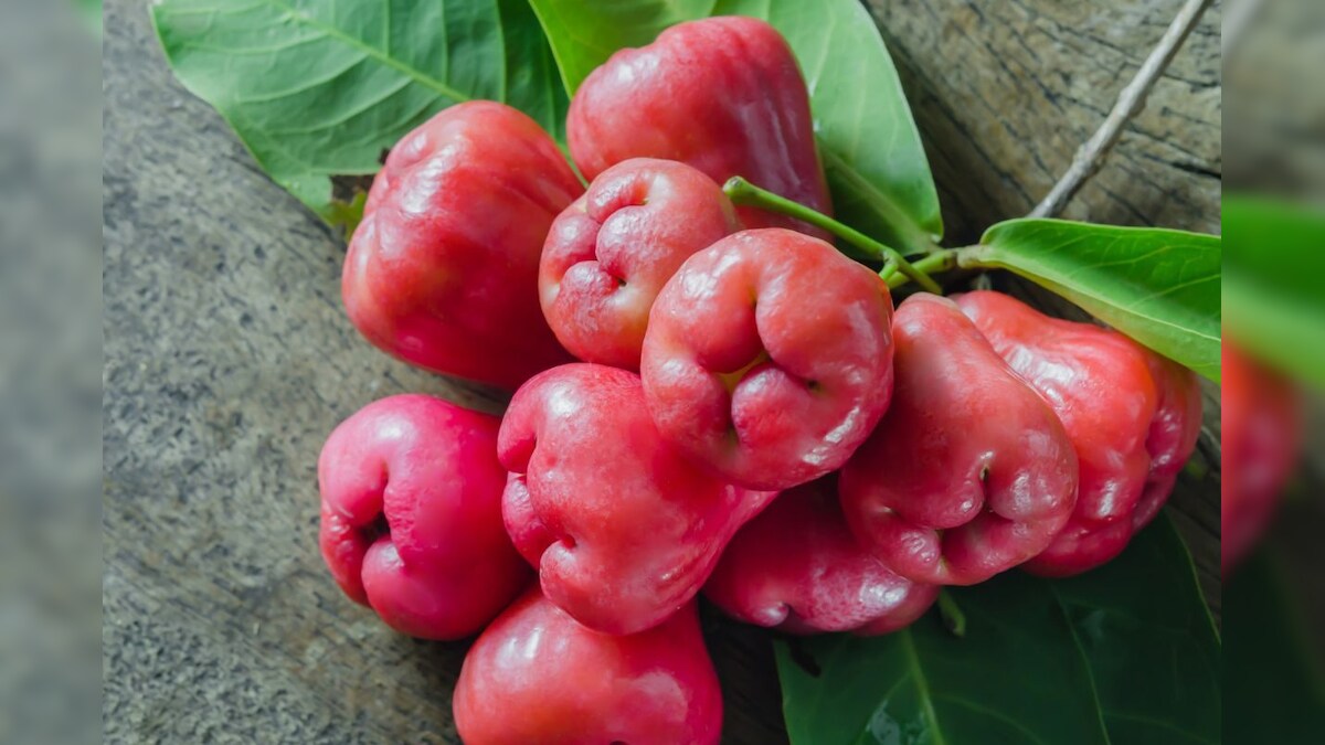 Rose Apple : गुलाबाचा सुगंध असलेले रोझ अ‍ॅप्पल म्हणजे पोषक तत्वांचा ...