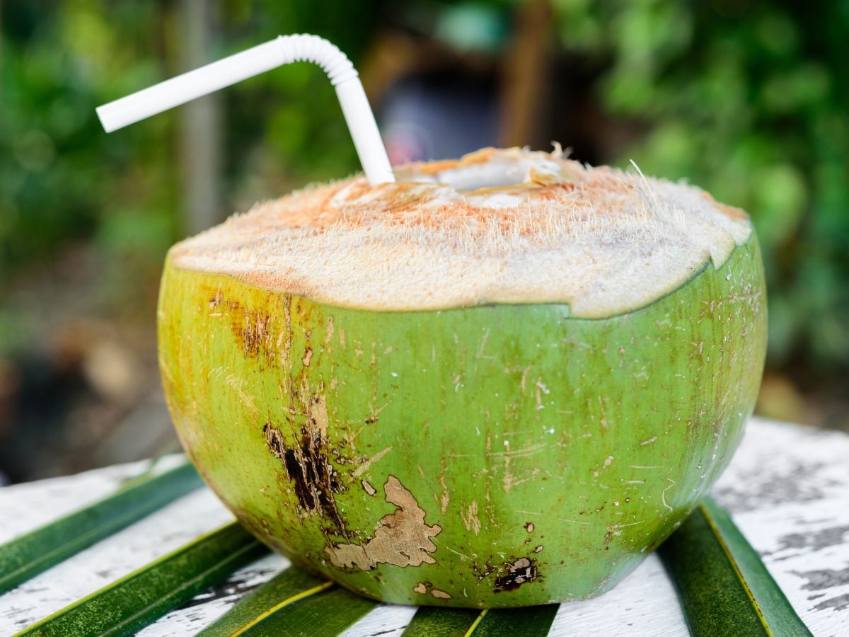 Coconut Water : या कारणांमुळे आरोग्यदायी नारळपणीही ठरू शकते हानिकारक ...