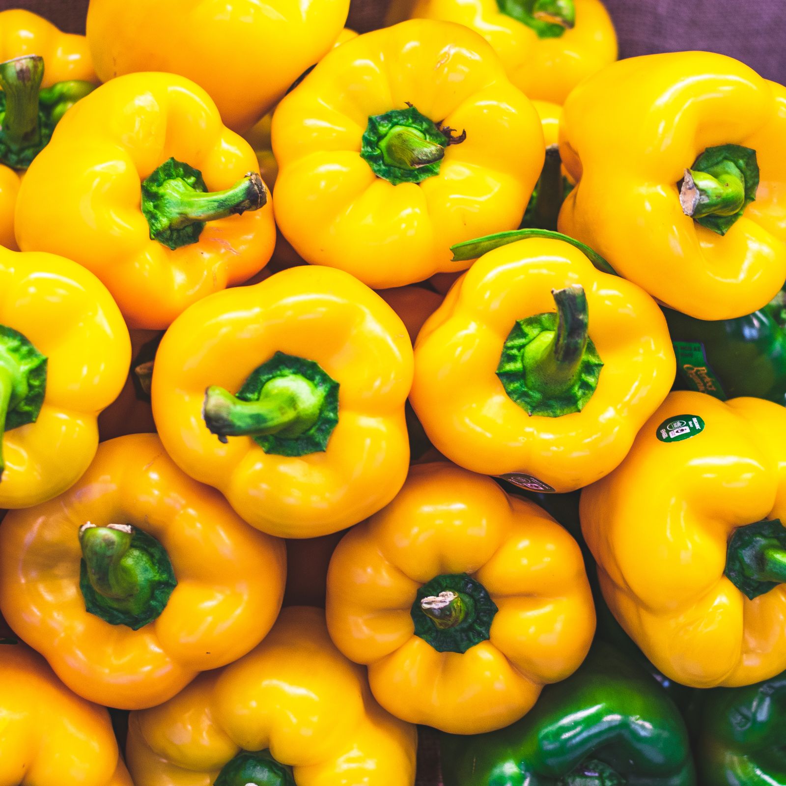 Capsicum Benefits : एक-दोन नाही तर 5 रंगांची रंगांची असते शिमला मिरची ...