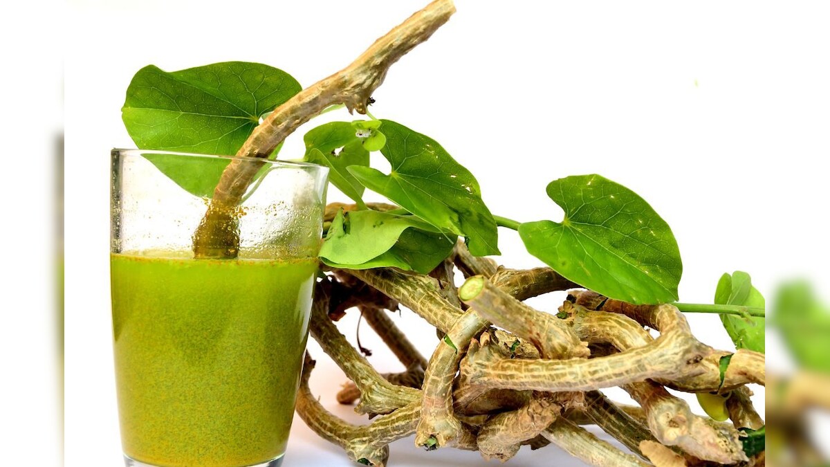 Giloy Benefits : हिवाळ्यात नक्की वापरा गिलोय, त्वचेपासून पोटापर्यंतच्या ...