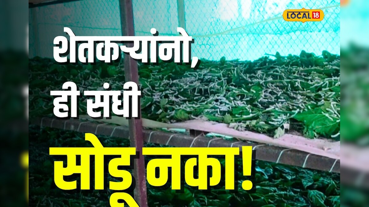 शेतकऱ्यांसाठी खूशखबर, 'या' शेतीसाठी मिळतेय एकरी 4 लाखांचं अनुदान ...