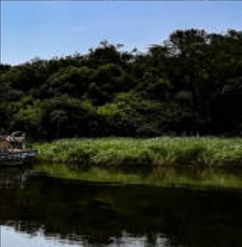 viral : या नदीचं पाणी इतकं काळ की तुम्ही पाय सुद्धा आत टाकणार नाही, पण ...