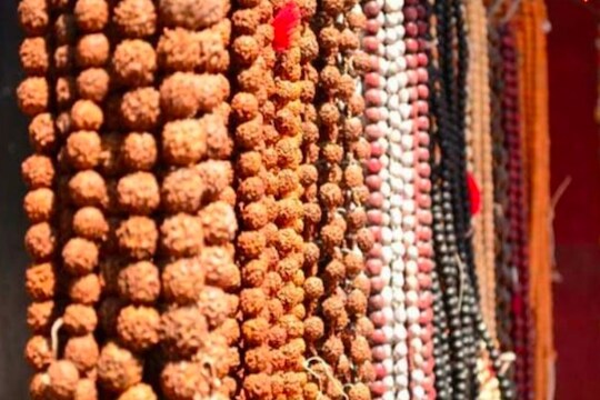 Lucky Mala: या झाडापासून बनवलेली माळ शुभ फळदायी! धारण केल्यानं मिळते ...