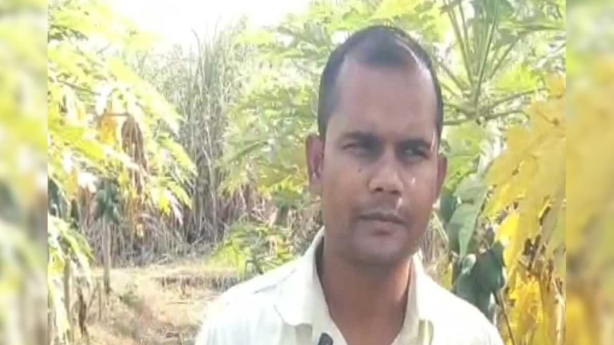 photos : इंजीनिअरिंगची नोकरी सोडून तरुण बनला शेतकरी, आज वर्षाला कमावतोय 10-12... – News18 मराठी