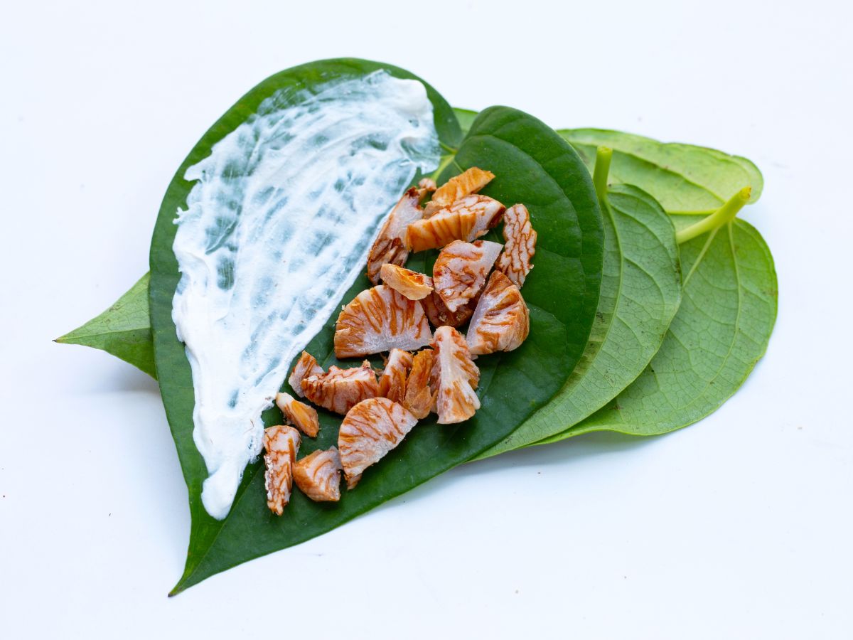 Paan Benefits : विड्याचं पान खाण्याचे फायदे तुम्हाला माहितीयत का ...