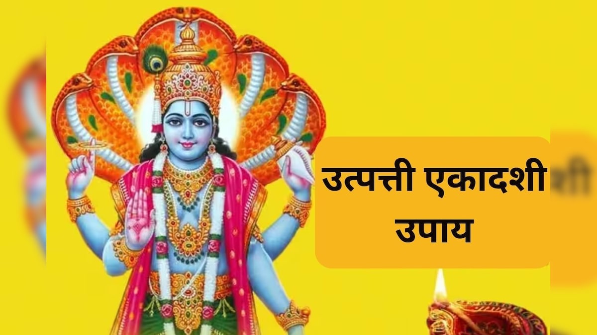 Utpatti Ekadashi Upay: उत्पत्ती एकादशीला करा हे खास उपाय, नोकरी ...