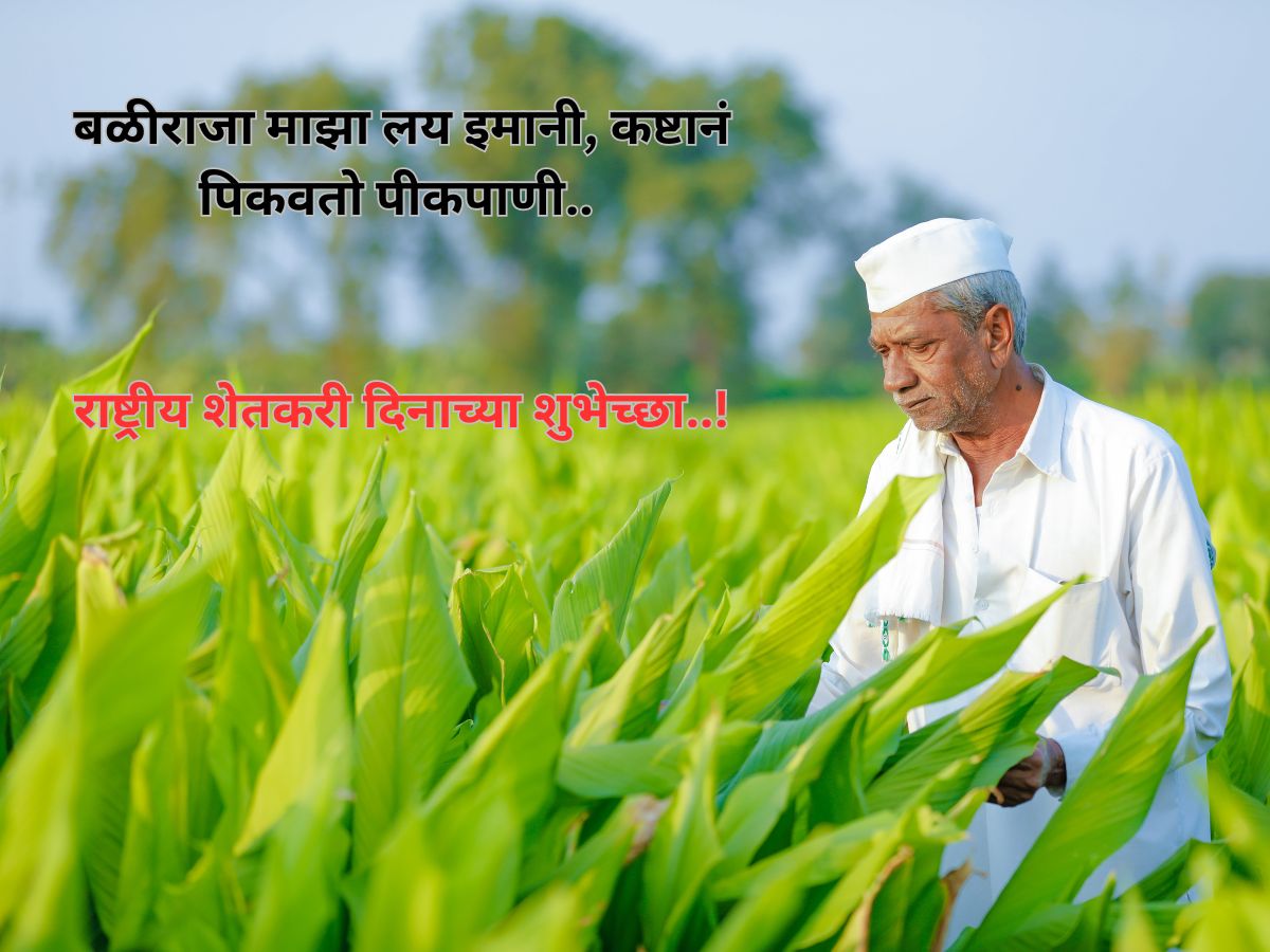 Farmers Day 2023 : बळीराजासोबत करा आनंद साजरा, सर्वांना द्या शेतकरी ...