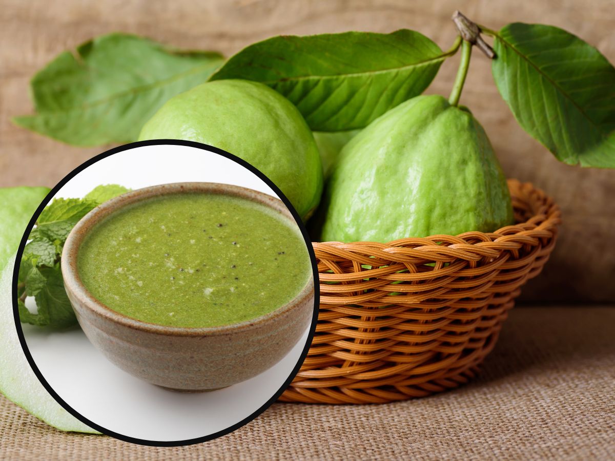 Guava Leaf Chatani : पेरूच्या पानांची चटणी या आजारांवर प्रभावी! उत्तम ...