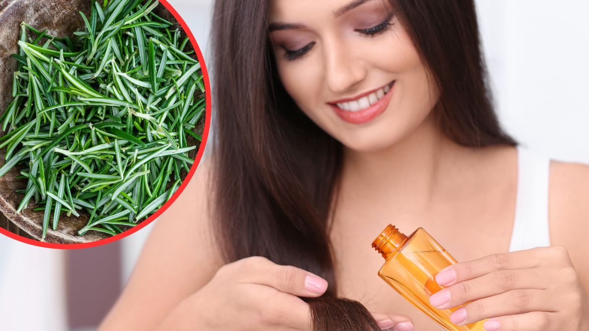 Winter Care : या तेलाने केस होतील दाट आणि मेंदू तीक्ष्ण.. या सुंदर ...