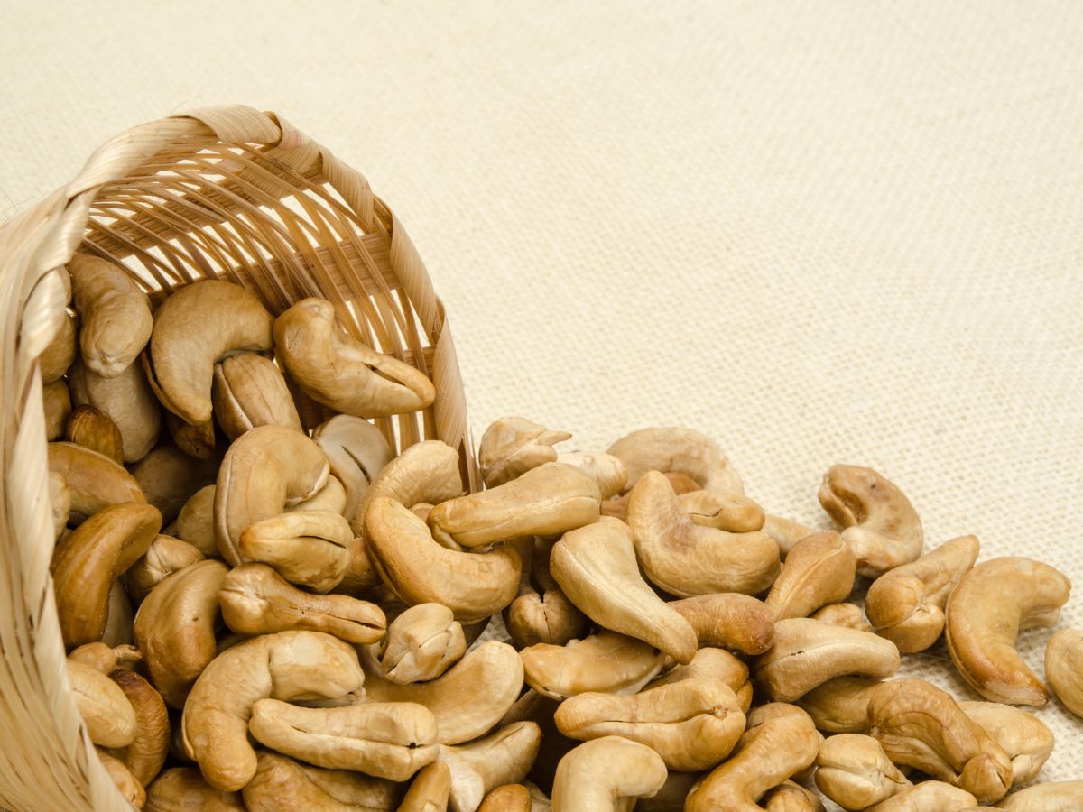 Real Cashew : तुम्ही नकली काजू तर खात नाही ना? या पद्धतीने ओळखा खऱ्या ...