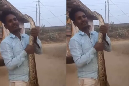 अजगरासोबत खेळण्याची चुक करुन बसला आणि धक्कादायक प्रकार घडला, पाहा Video python attack on man ...