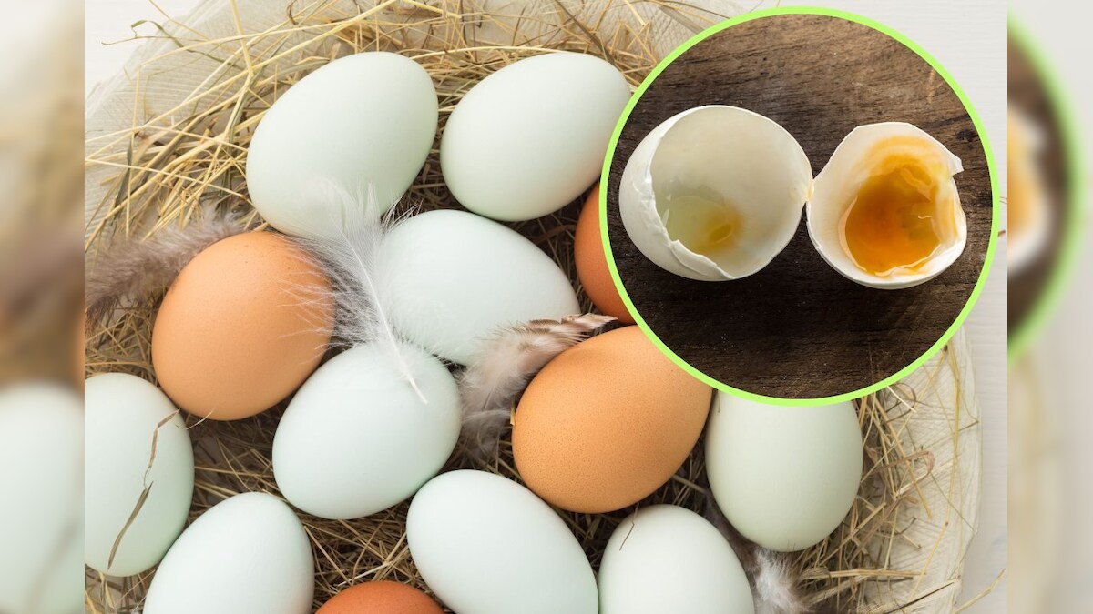 Healthy Eggs : तुम्ही खात असलेली अंडी सडलेली तर नाही ना? या 3 पद्धतींनी ...