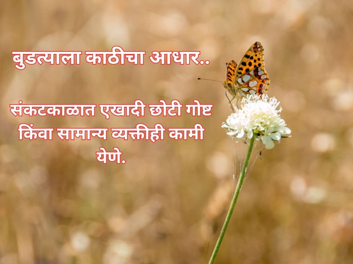 Marathi Mhani With Meaning : भाषेचं सौंदर्य वाढवणाऱ्या दर्जेदार 'म्हणी ...