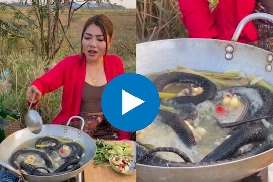 Snake soup: सापाला कापून बनवलं सूप, तरुणीचा धक्कादायक VIDEO – News18 मराठी
