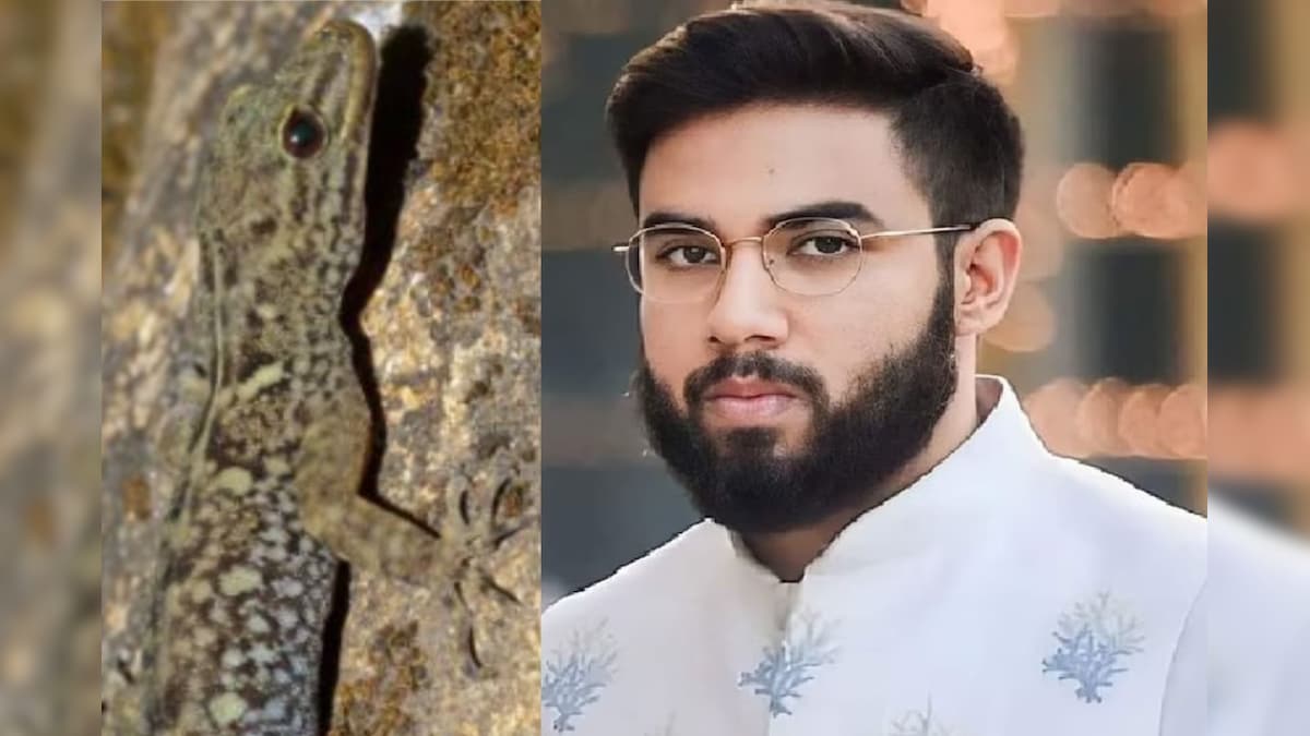 tejas thackeray : तेजस ठाकरेंचं आणखी एक भारी संशोधन; पालींच्या दोन ...