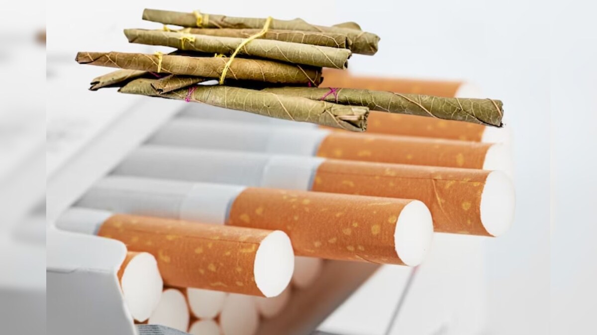 Bidi vs Cigarette Harms : विडी की सिगारेट, दोन्हीपैकी कोणते आरोग्यासाठी ...
