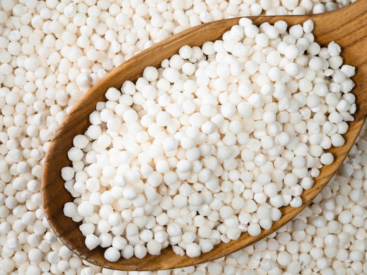 Identifying Original Sabudana : महाशिवरात्रीच्या उपवासासाठी आणलेला ...