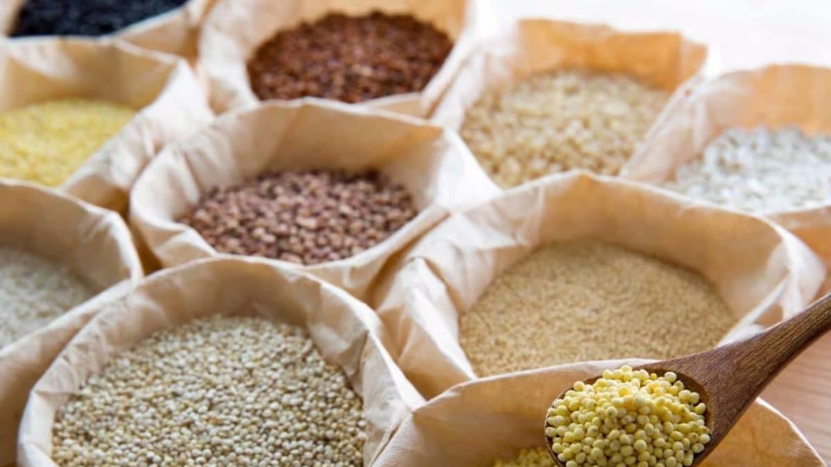 Millets Benefits : मिलेट्समध्ये नेमकं कोणकोणतं धान्य येतं? जाणून घ्या ...