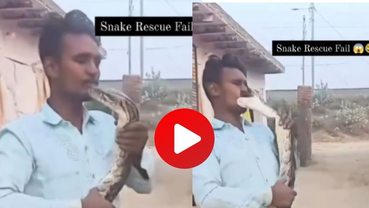 अजगराला KISS करायला गेली आणि भलतीच फसली व्यक्ती, थेट तोंडावरच अटॅक ...