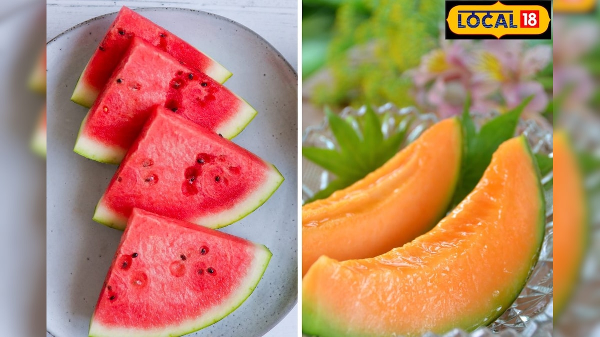 टरबूज की खरबूज? दोन्ही पाणीदार, पण उन्हाळ्यात आरोग्यासाठी सर्वोत्तम काय ...