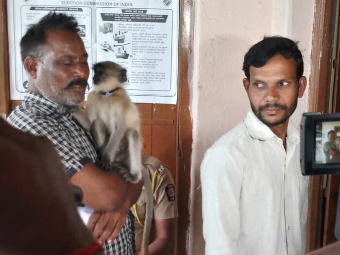 Wardha Monkey At Voting Booth : 'बजरंगबली'च्या खांद्यावर बसून मतदानाला ...