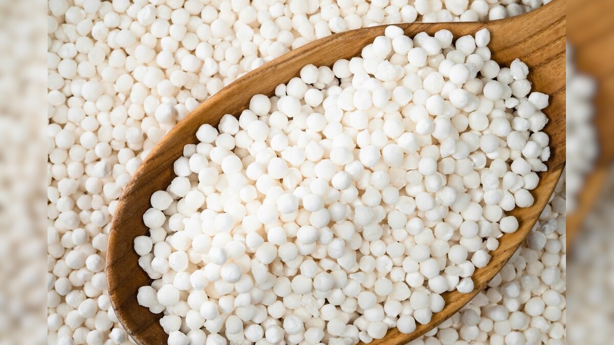 कोणत्या झाडापासून मिळतो साबूदाणा? अनेकांना माहित नाही याचं उत्तर ...