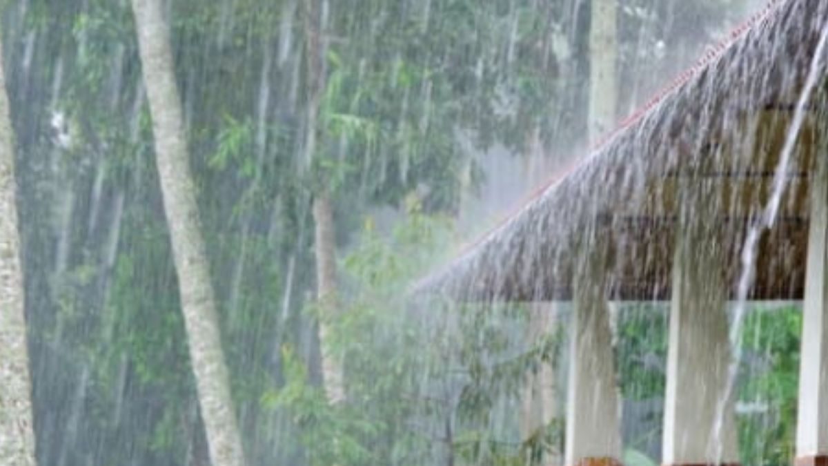 Maharashtra Rain Alert : पुढचे 48 तास धोक्याचे, महाराष्ट्रात IMD कडून ...