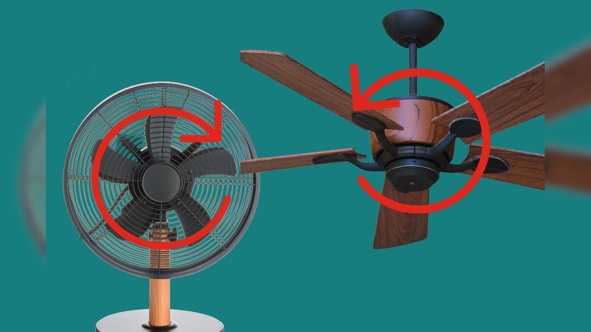सिलिंग फॅन किंवा टेबल फॅन विरुद्ध दिशेला का फिरतात? कधी याकडे नीट लक्ष ...